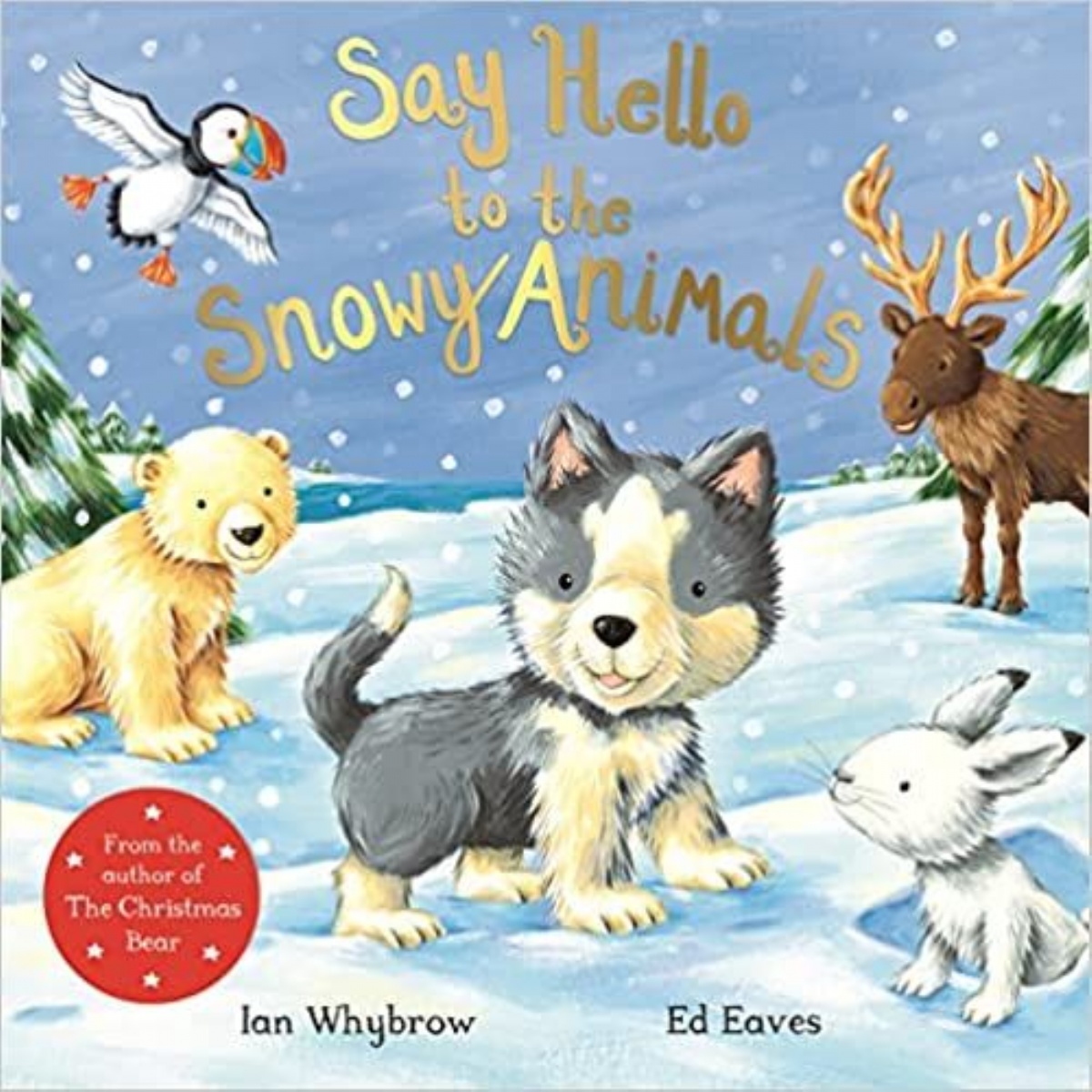 Dorchester Primary - Say Hello to the Snowy Animals