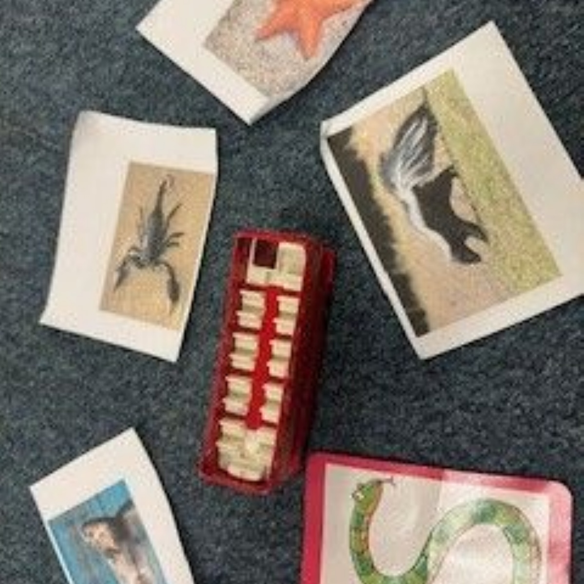 Dorchester Primary - Nursery: What can you find beginning with the 's ...